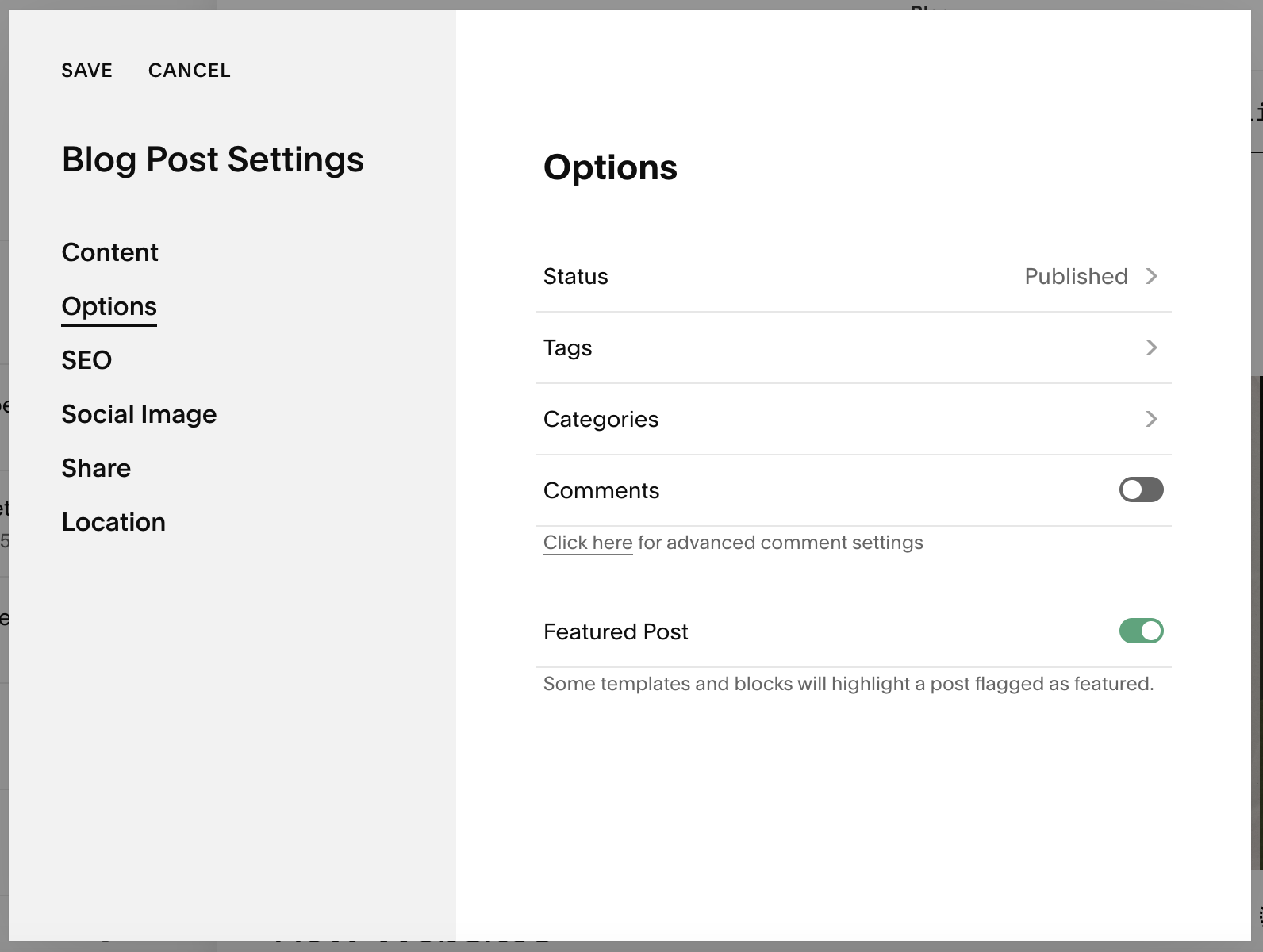 Portfolio Page vs Blog Page: Picking the Best Structure for Your ...
