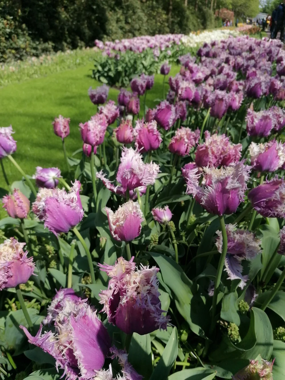 Fleuropean Floral Artist Retreat — Howe Hill Flowers