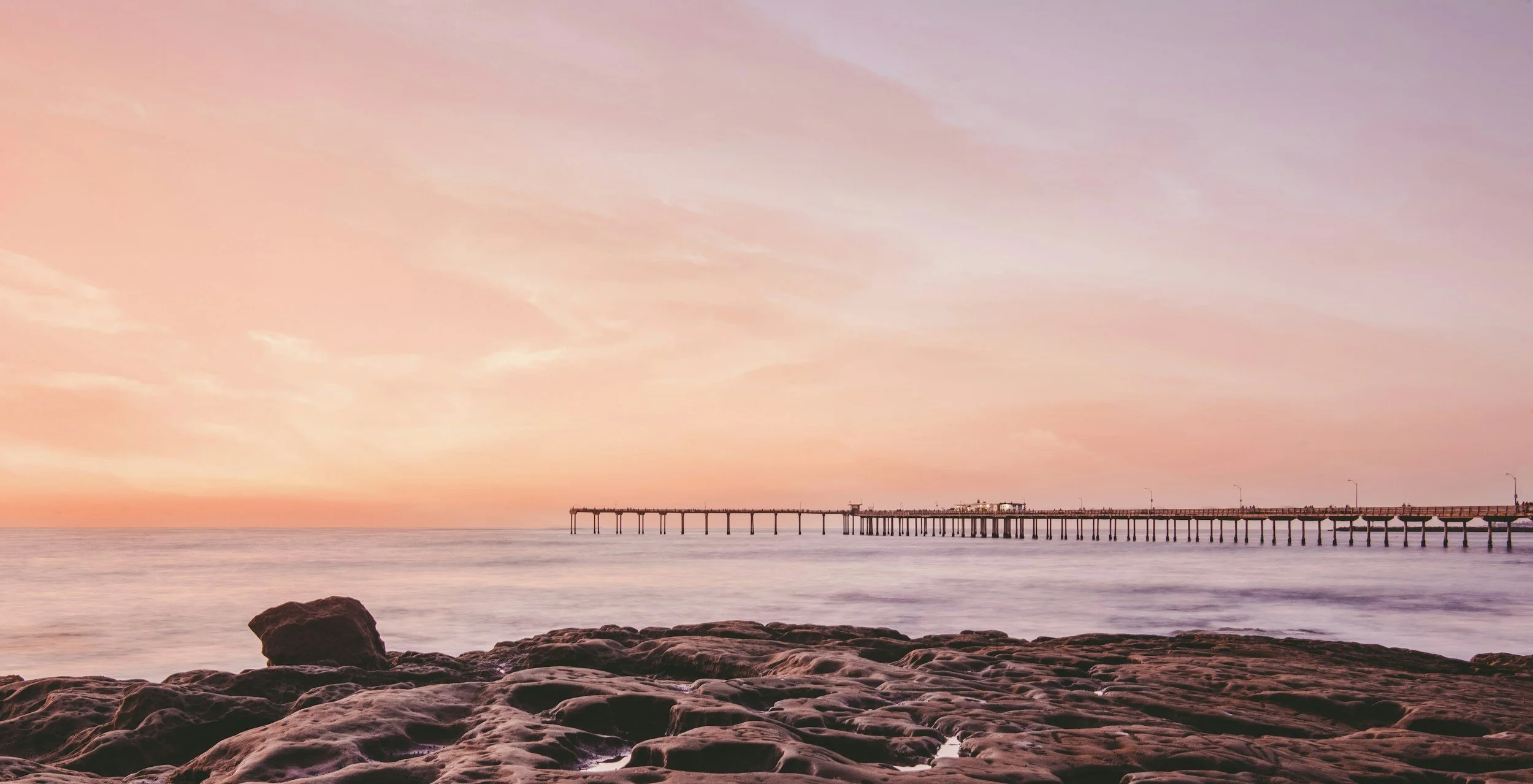 ABOUT US — Wilma's Transition Society
