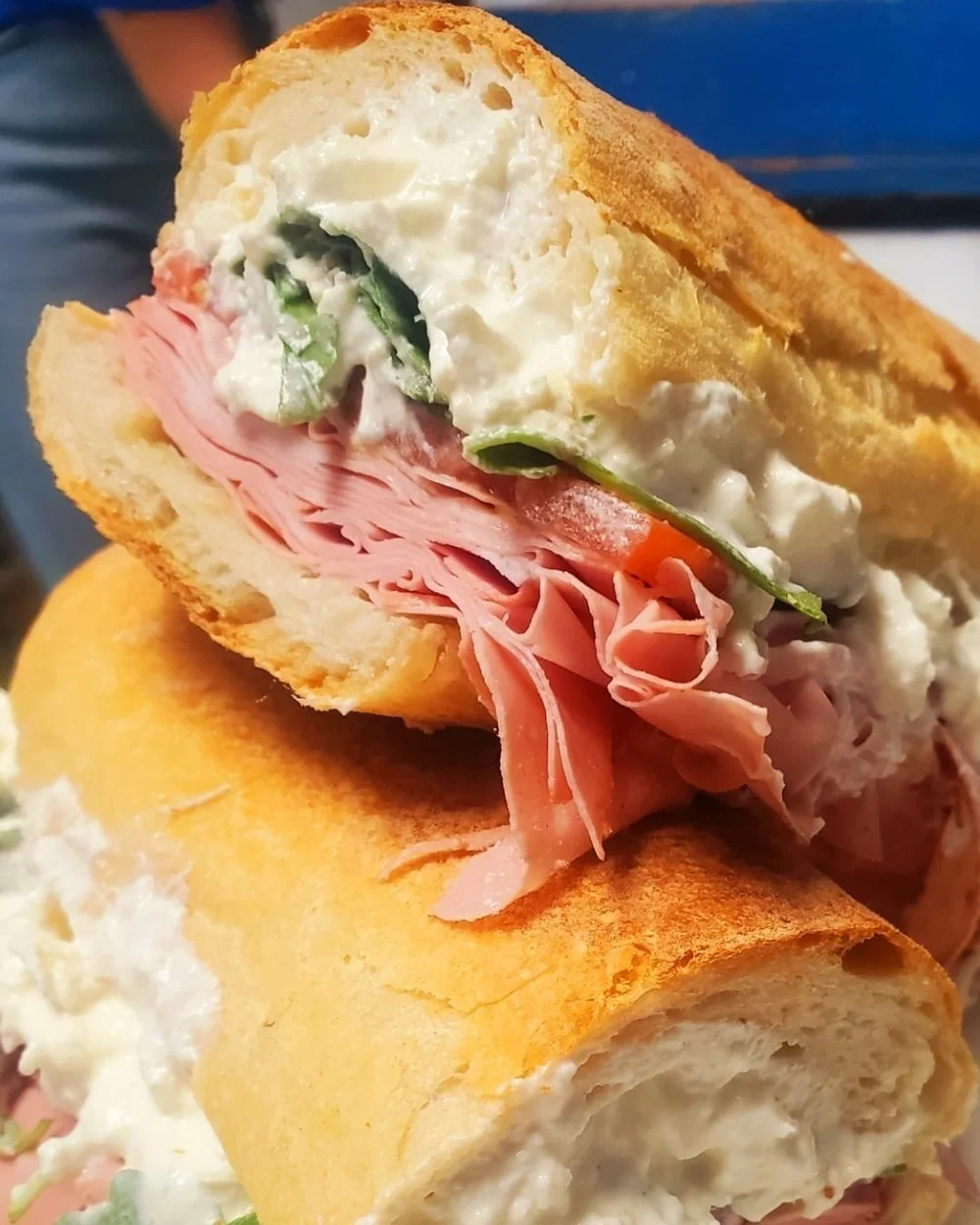 Our Panini — Pisillo Italian Panini