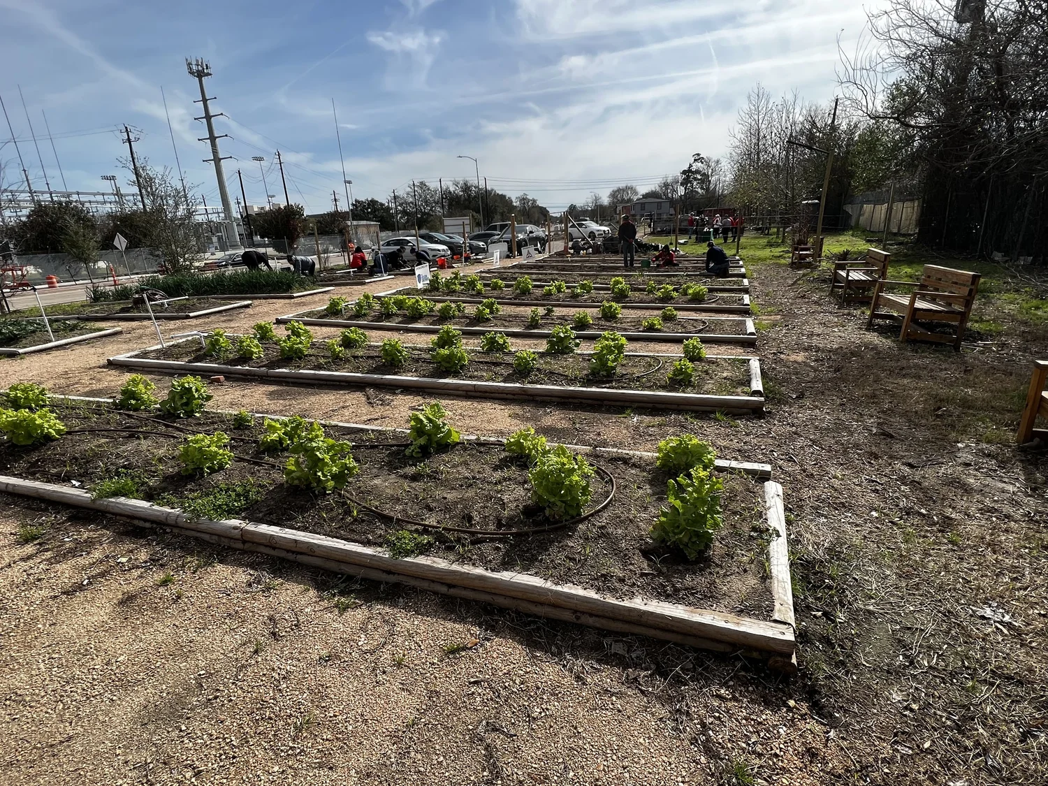 Blodgett Urban Garden