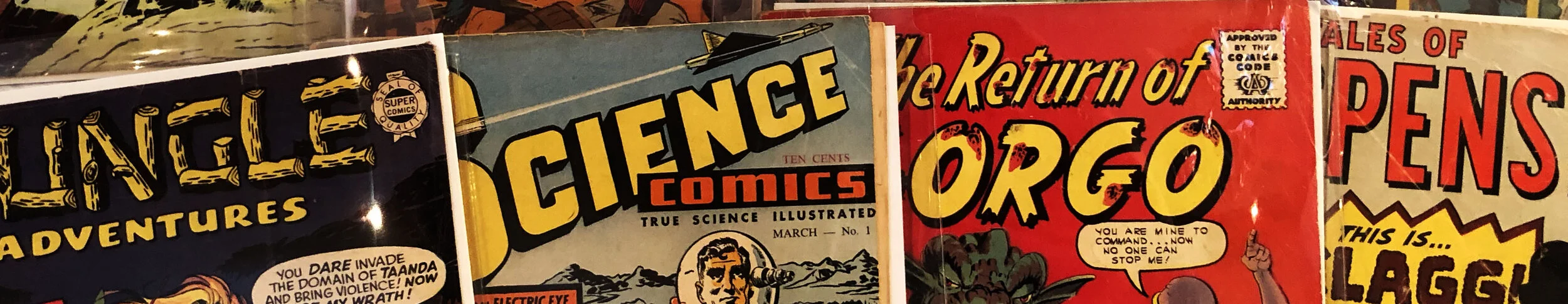 1st FLOOR SHOP — ROBO PICTO COMICS