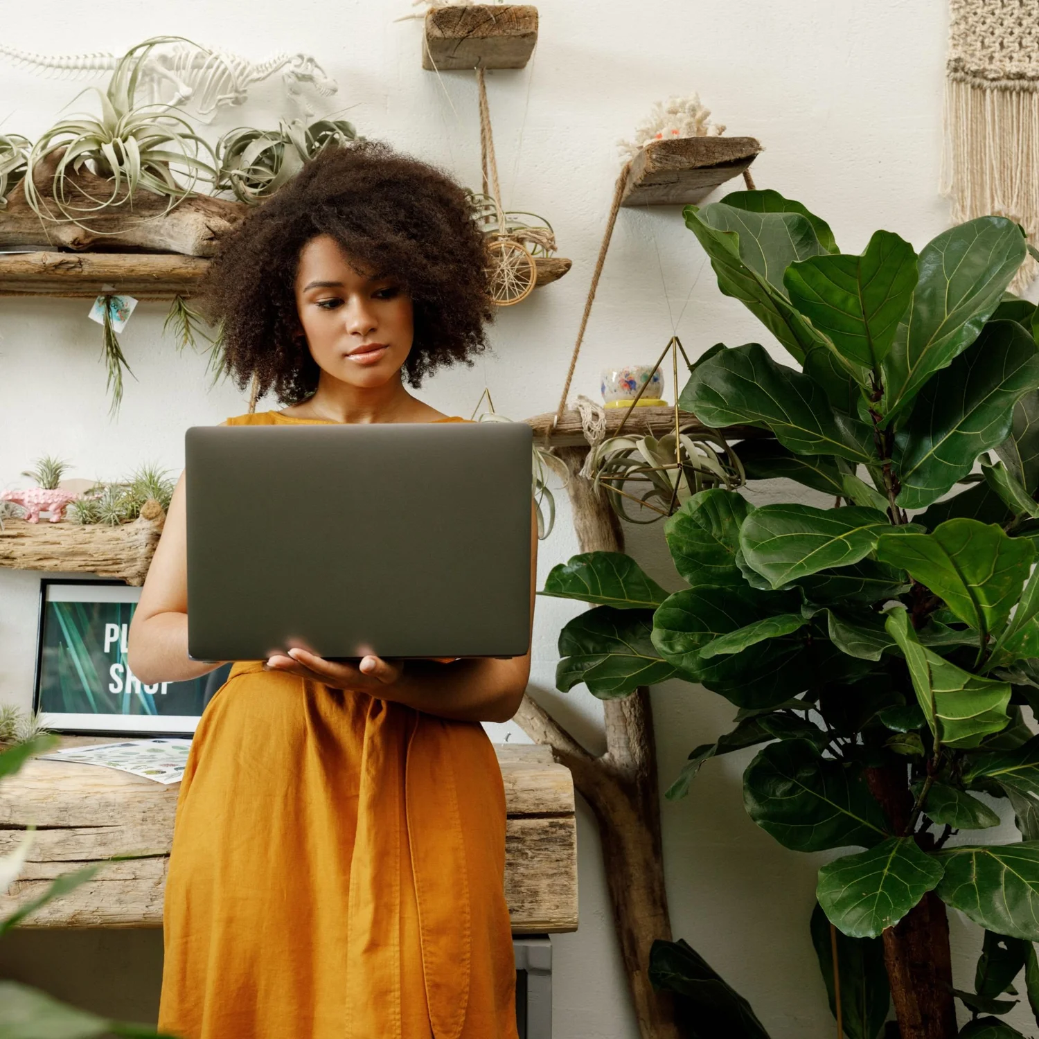 How to create & customize a Squarespace donation block — Squarespace Tutorials