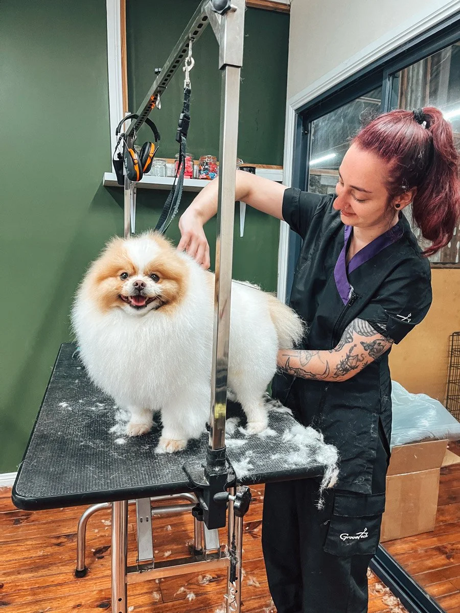 About — The Woof Shed