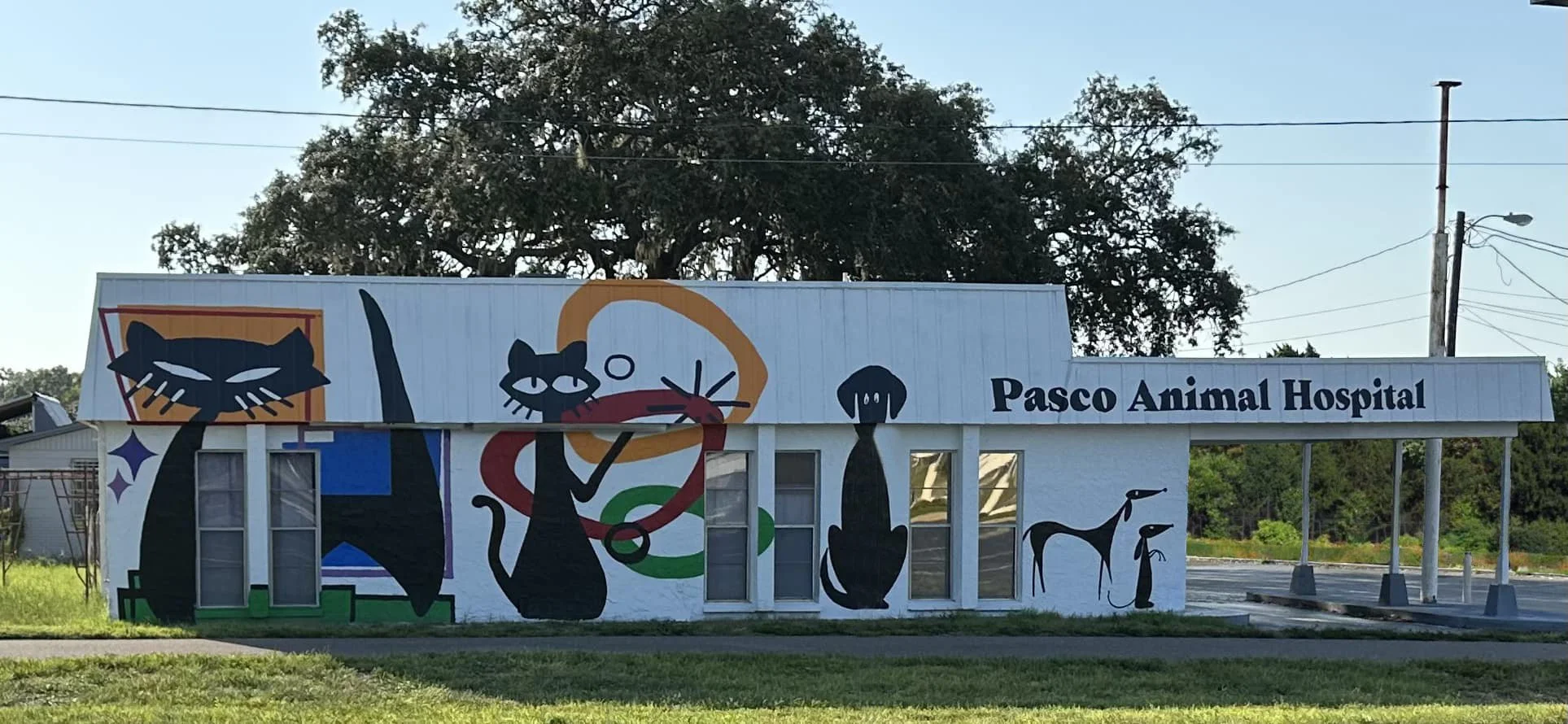 Contact Us — Pasco Animal Hospital