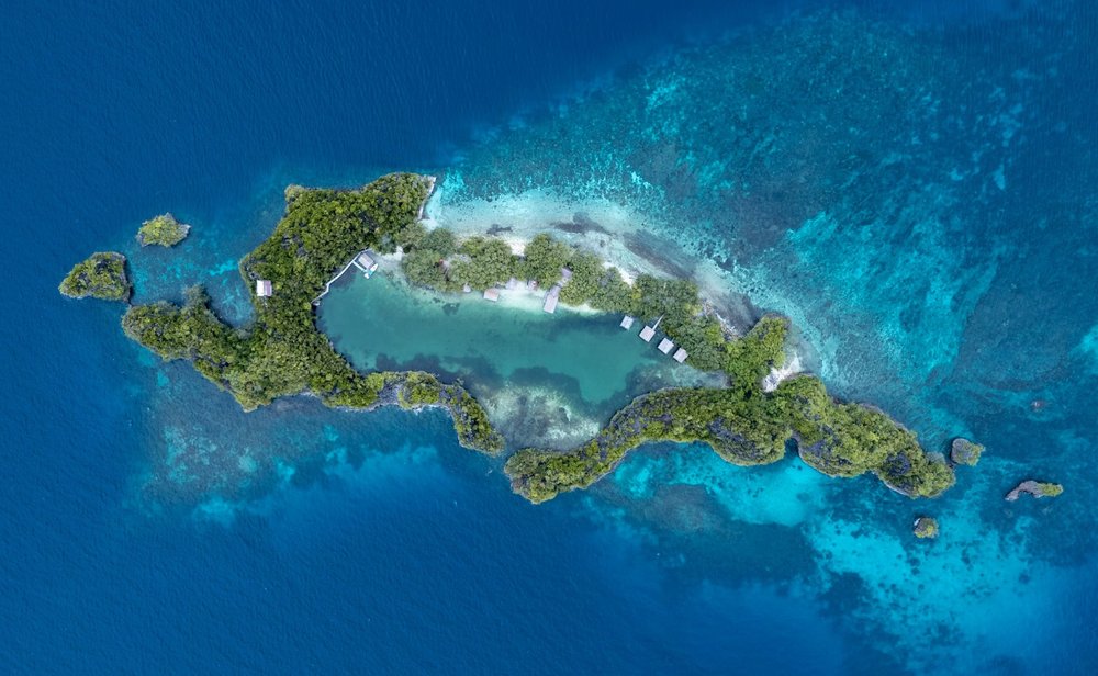 Island Insights — The Island Router