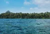 The Island Router