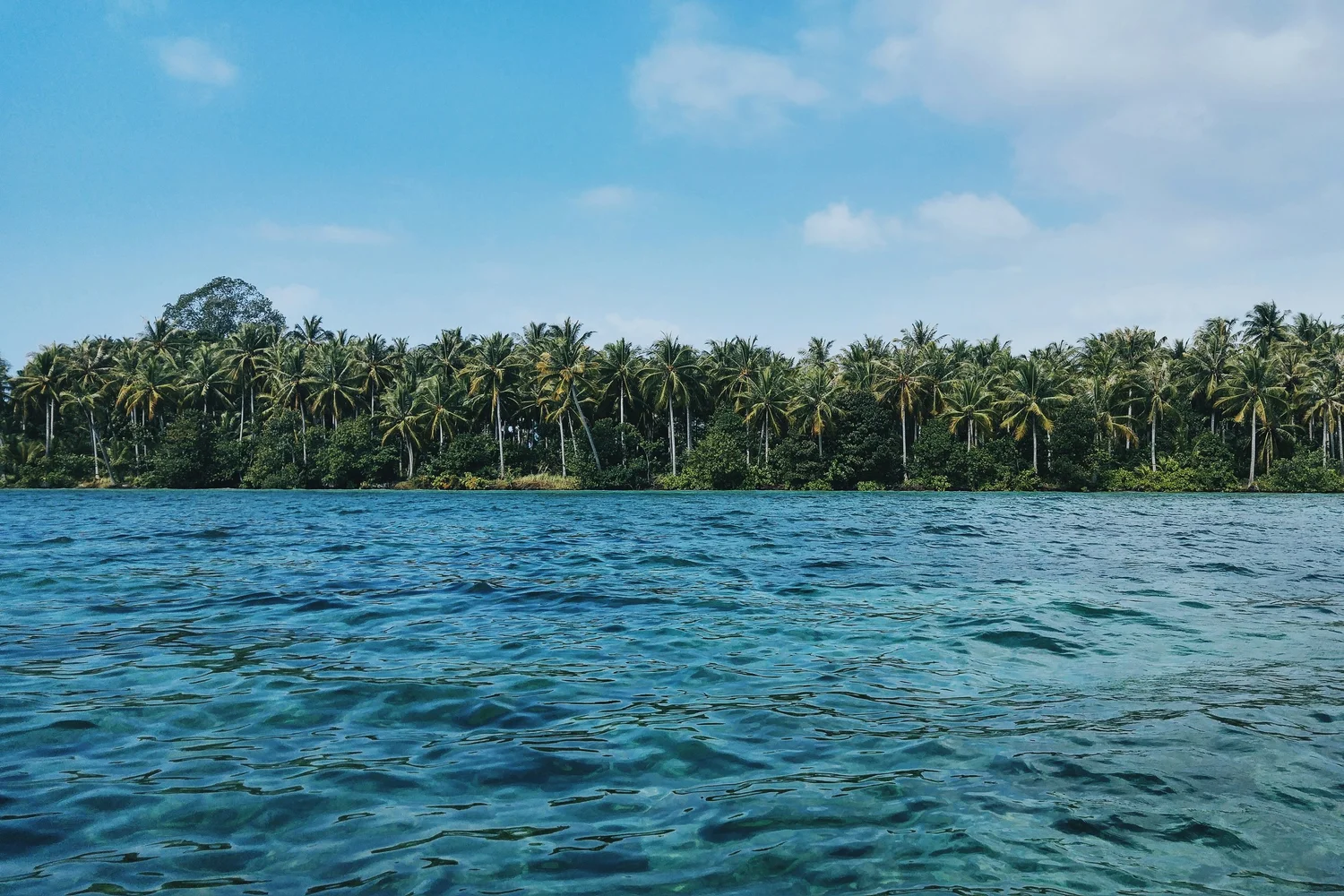 The Island Router