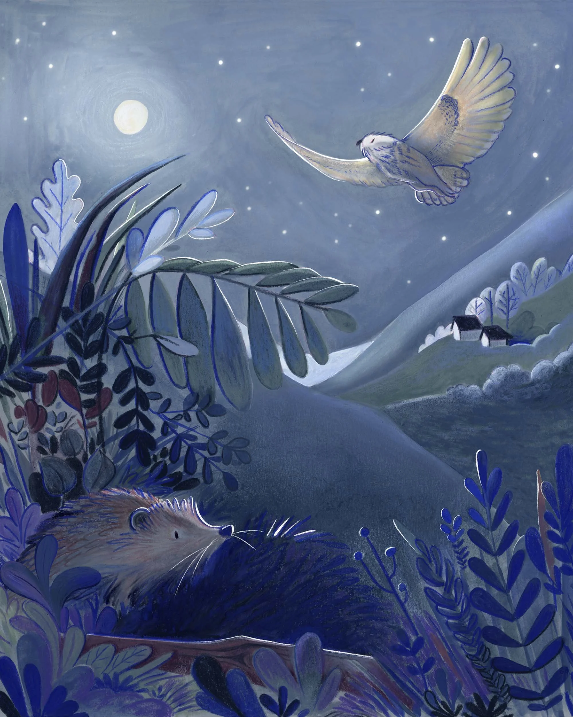 Jennifer Amelie - Children's Book Illustrator
