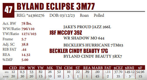 Byland Purebred Shorthorns — Byland Farms