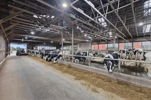 PEI DAIRY FARM FOR SALE | 152 KGS | 306 ACRES
