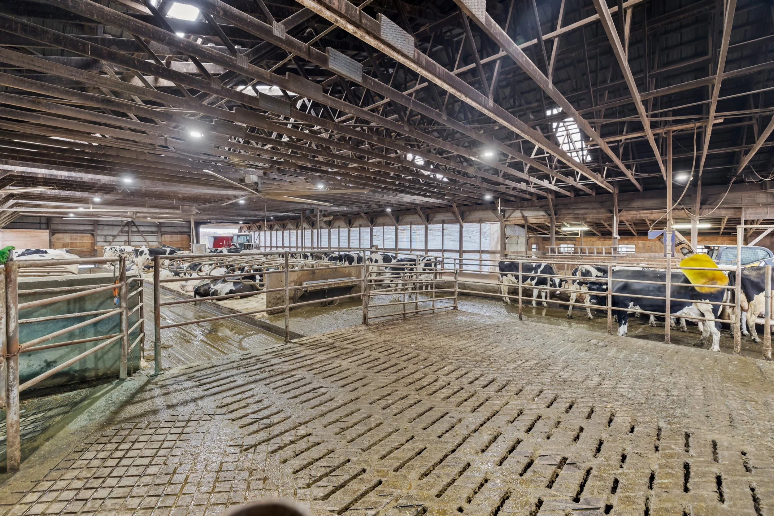 PEI DAIRY FARM FOR SALE | 152 KGS | 306 ACRES
