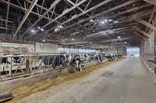 PEI DAIRY FARM FOR SALE | 152 KGS | 306 ACRES