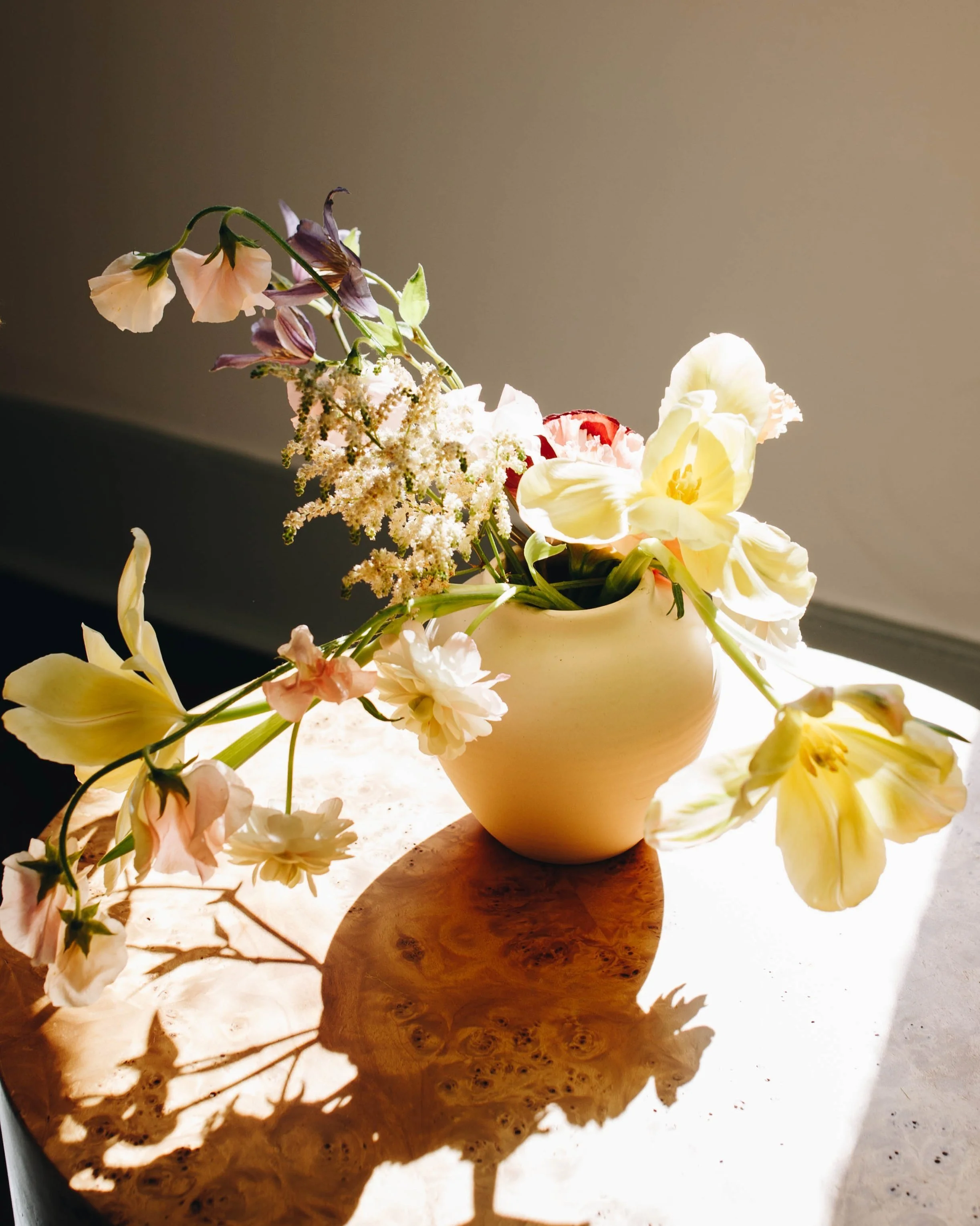 Offerings — Seed Social