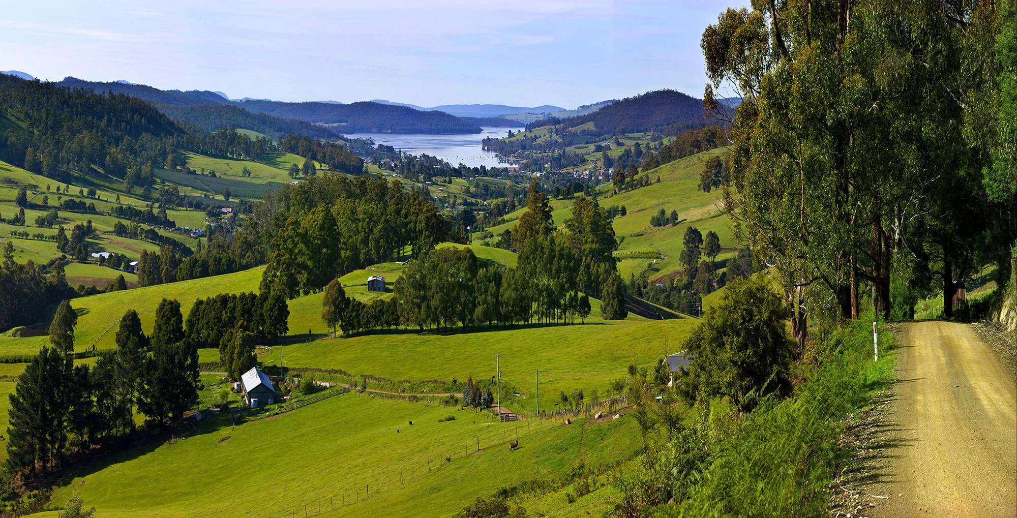 the Cygnet Association