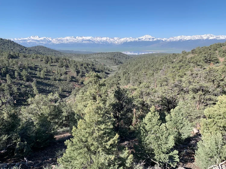 The PiCCA Team — Pinyon Community Climate Action Project