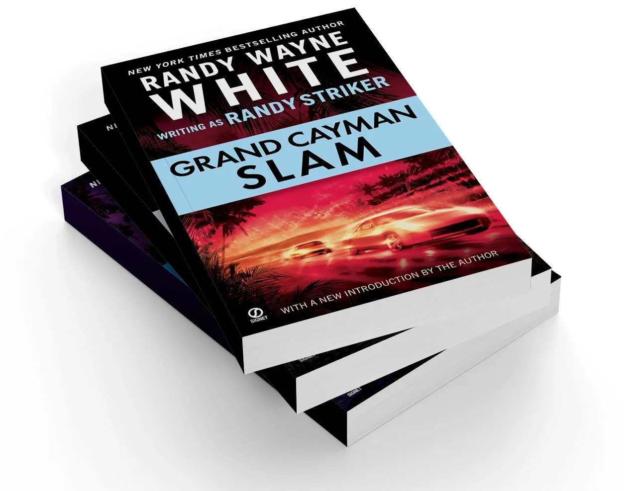 Dusky MacMorgan Novels — Randy Wayne White