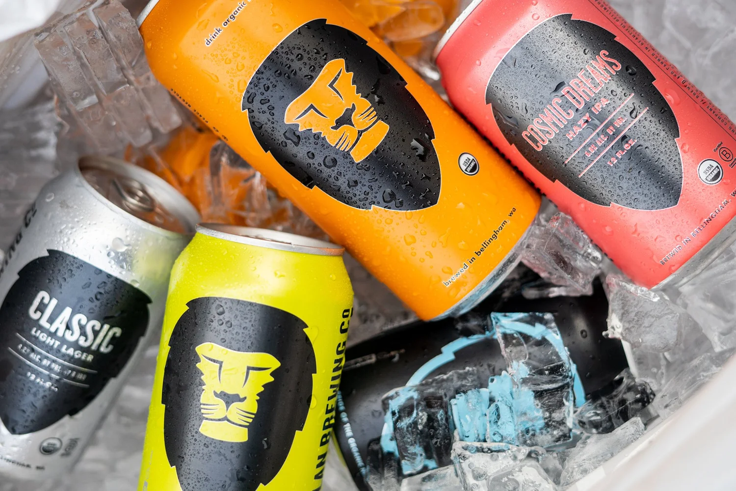 Aslan Brewing