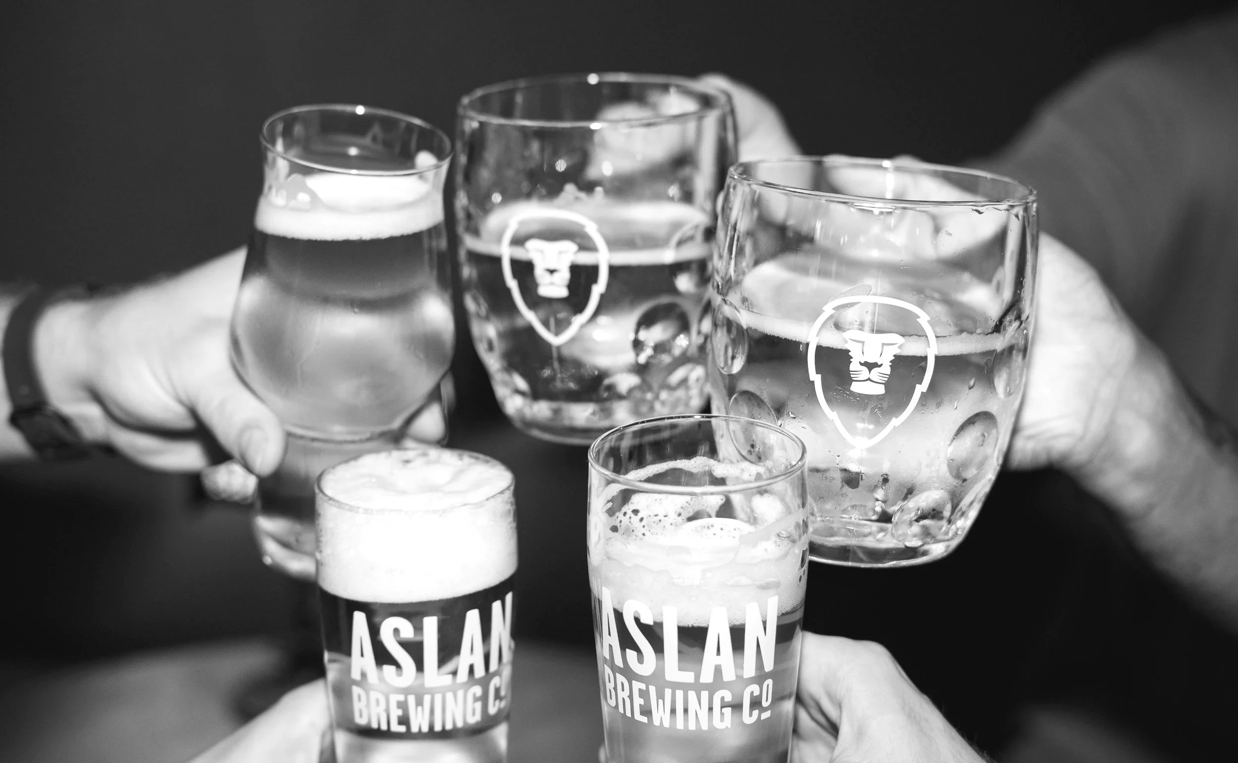 Aslan Brewing