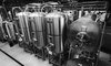 All Locations — Aslan Brewing