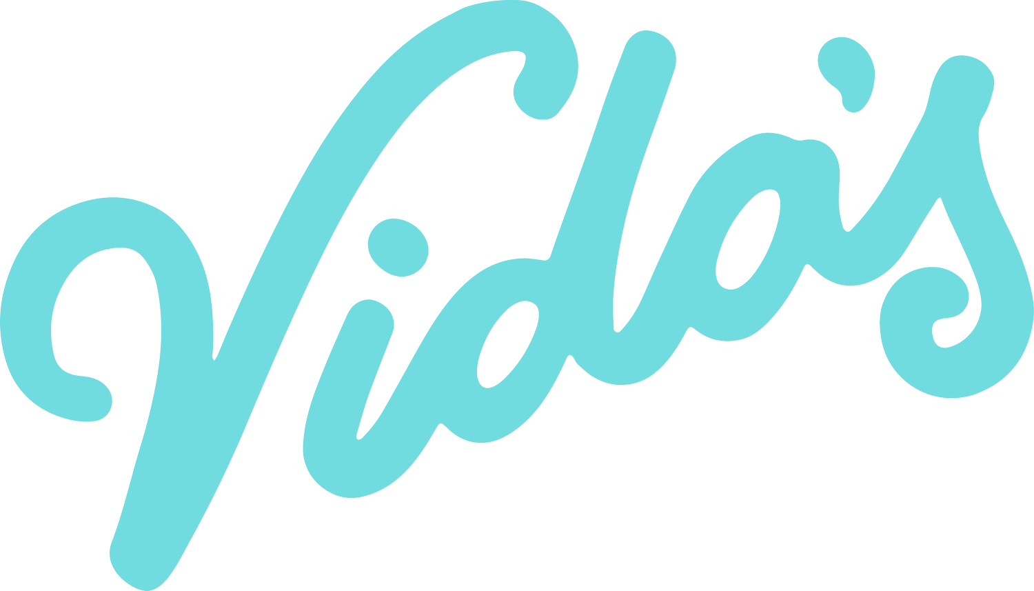 Vida's Mexican Cantina & Cocktail Bar