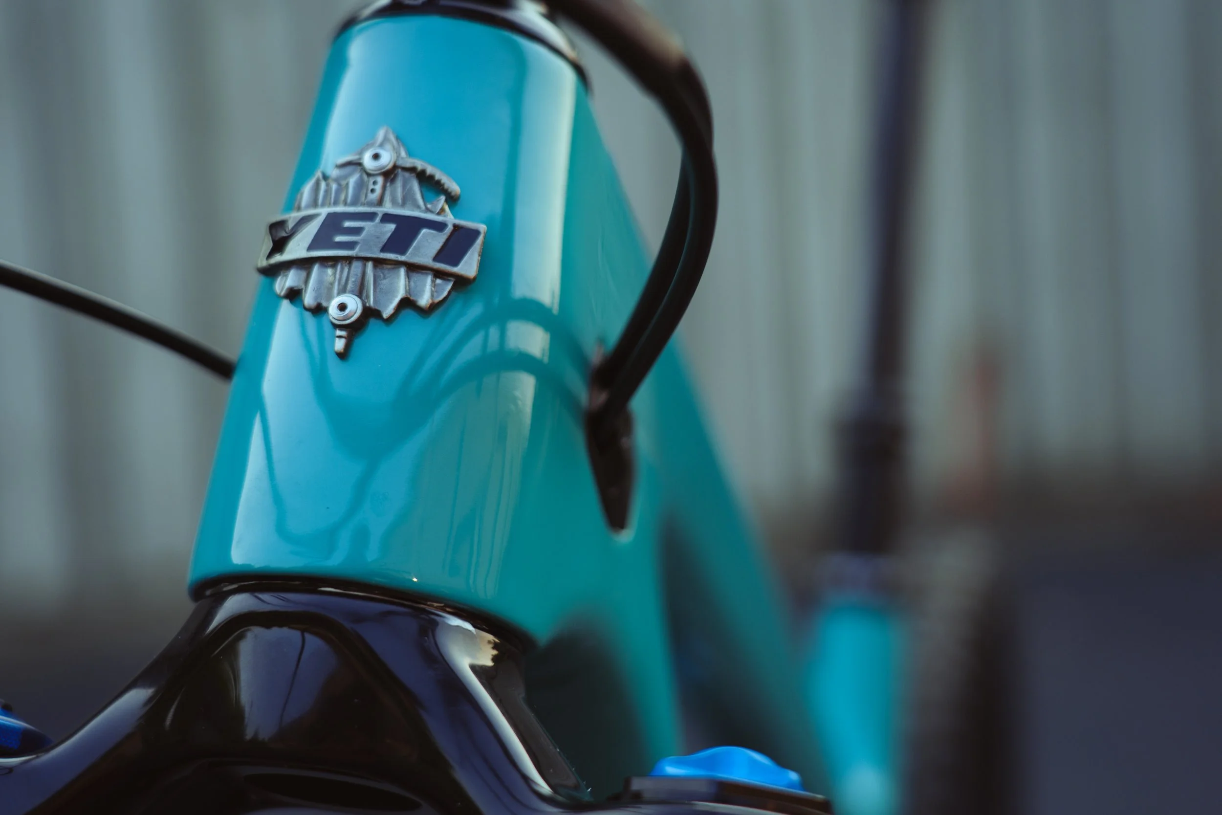 CUSTOM BUILDS — Alleycat Bike Shop