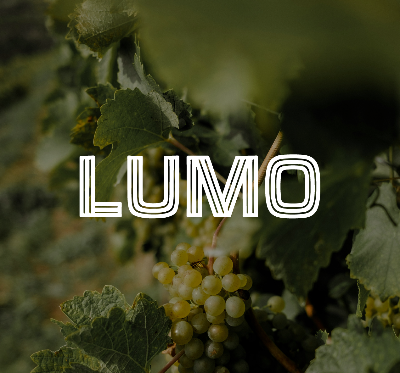 Portfolio — Active Impact Investments