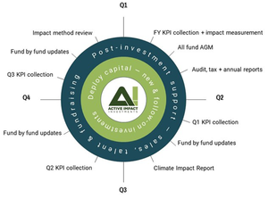 Insights — Active Impact Investments