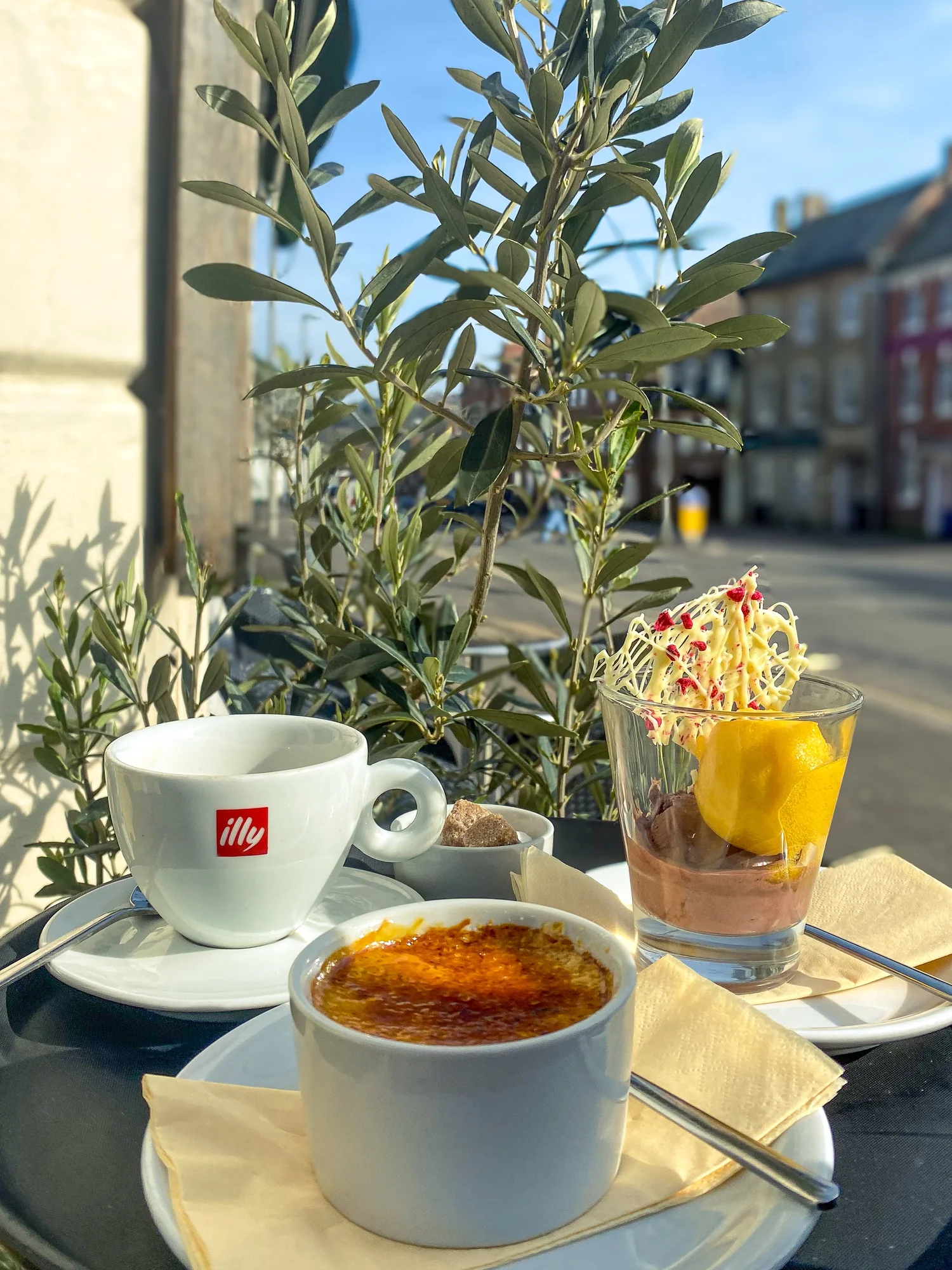 Contacts & Opening Hours — OLIVE TREE