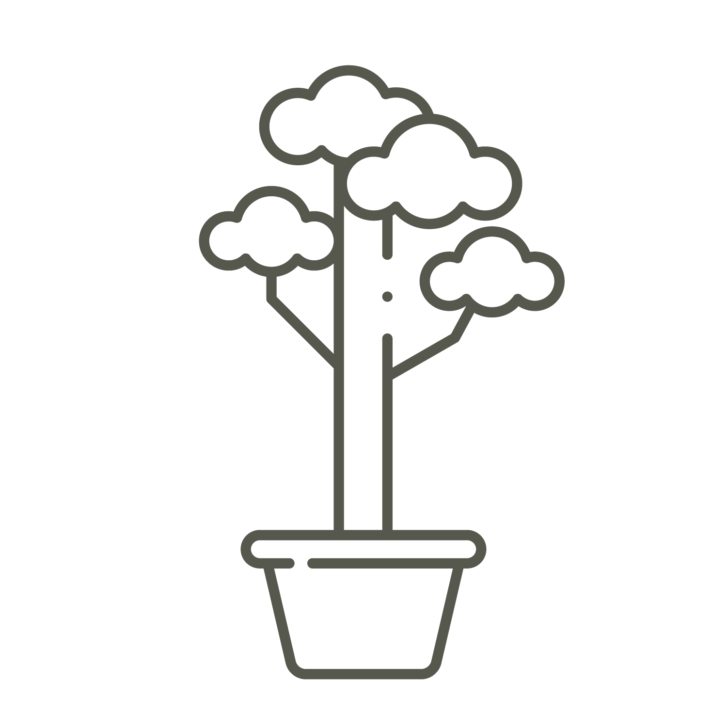 Clouds — Statement Trees