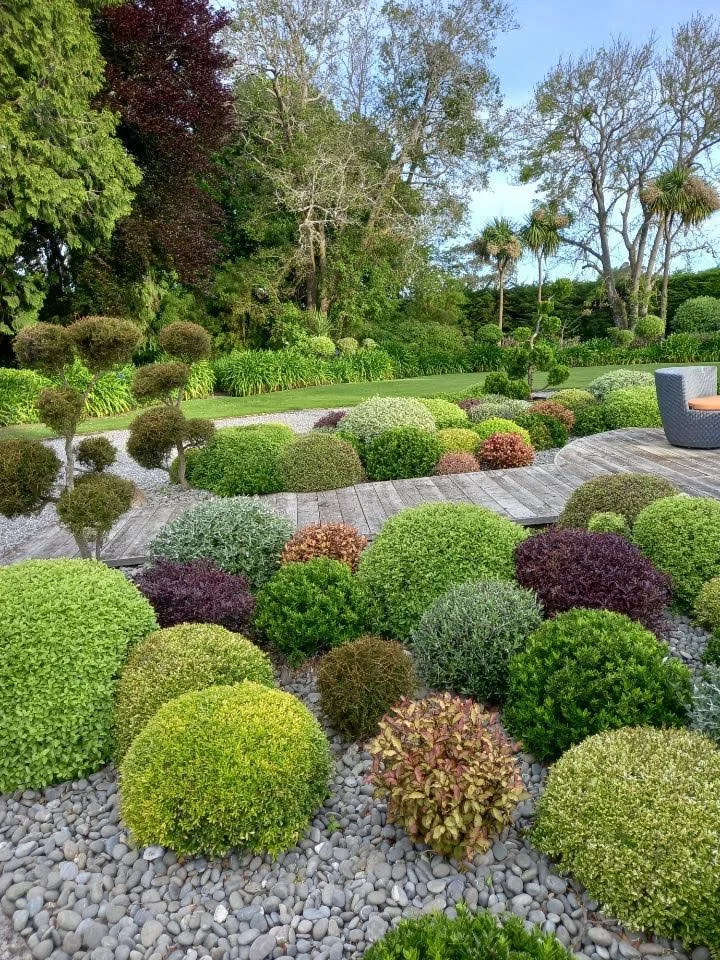 Gallery — Statement Trees