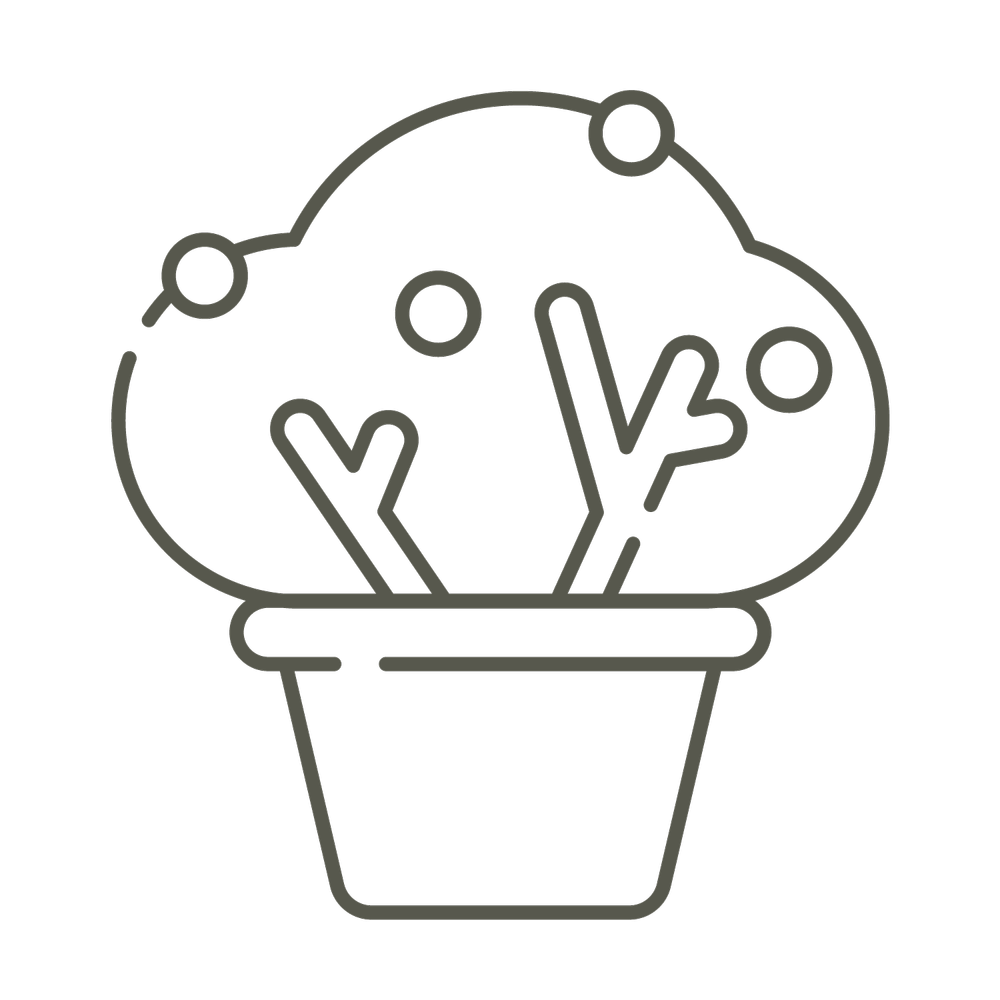 Shrub — Statement Trees