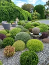 Gallery — Statement Trees