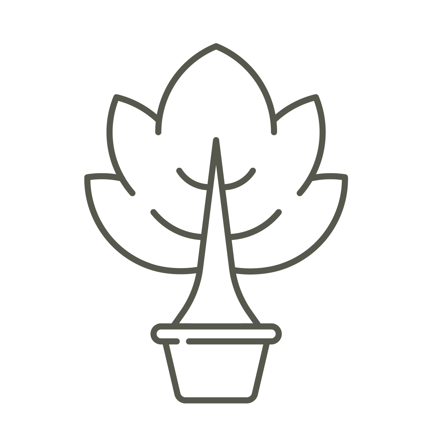 Evergreen — Statement Trees