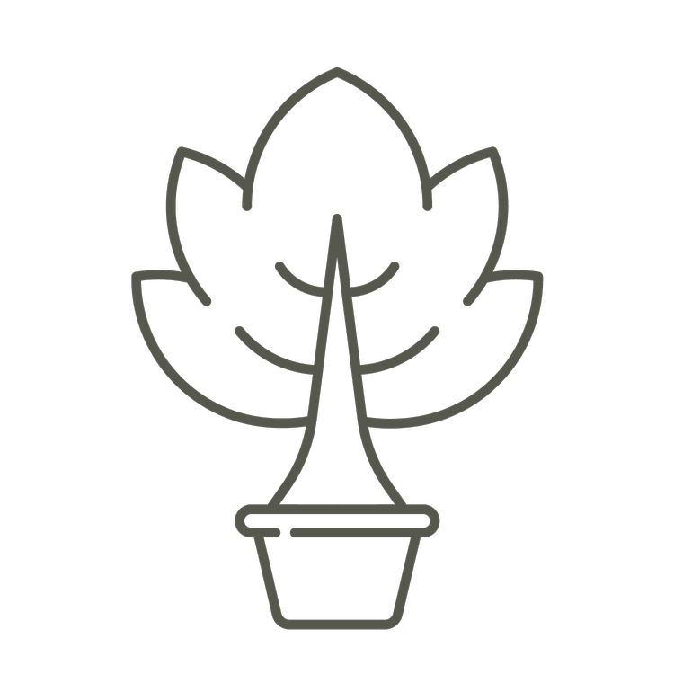 Evergreen — Statement Trees