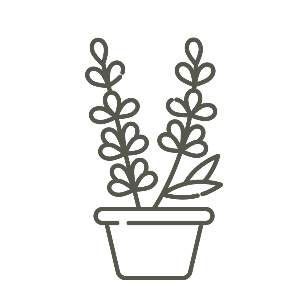 Flowering — Statement Trees