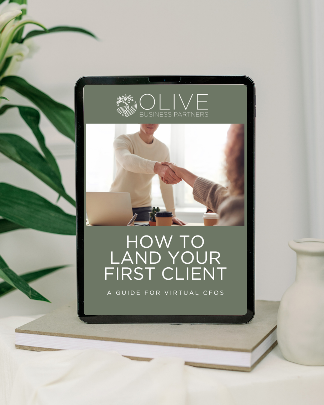 Careers — Olive Business Partners