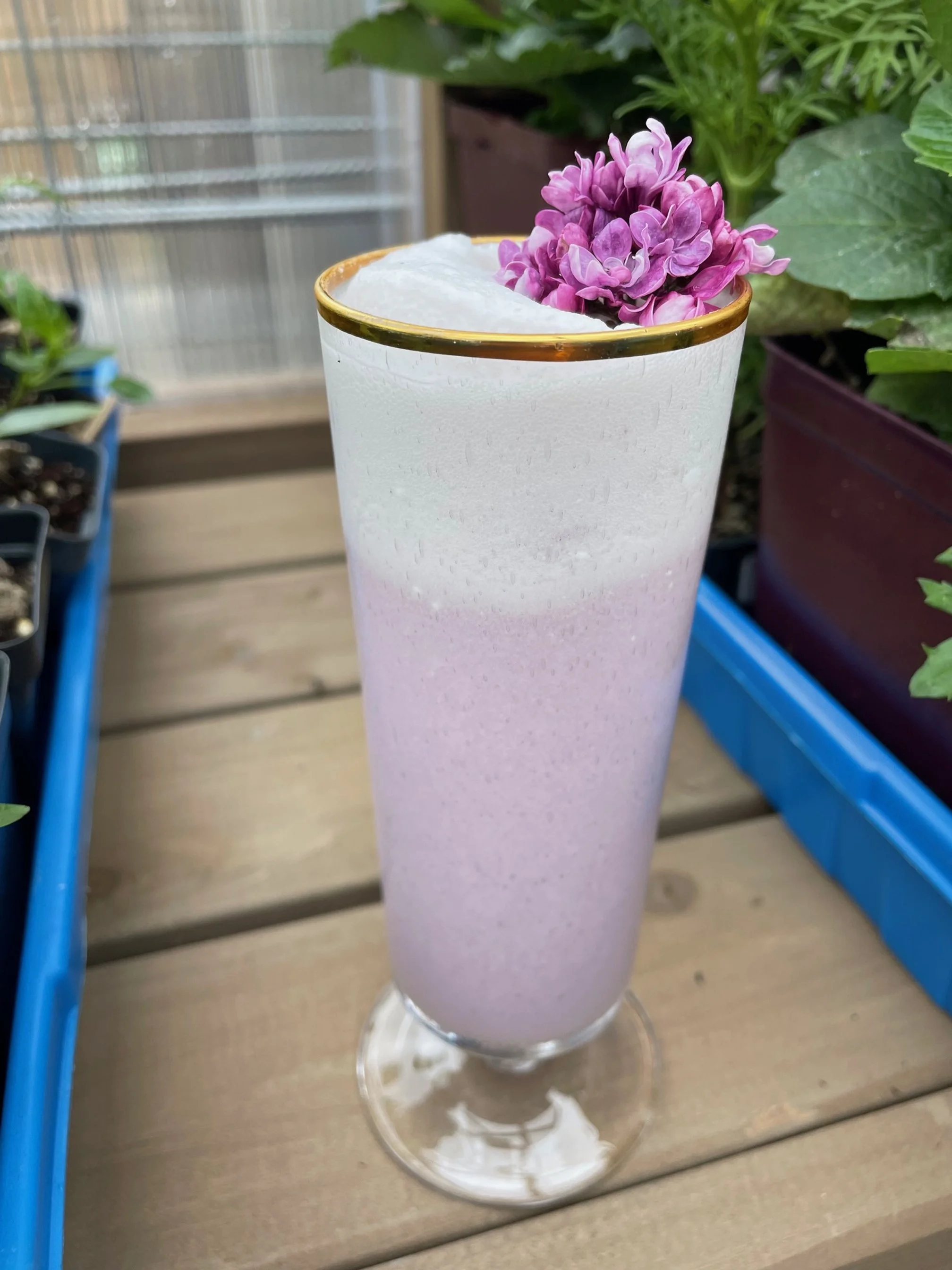 Blog 1 — Homesteading In Denver