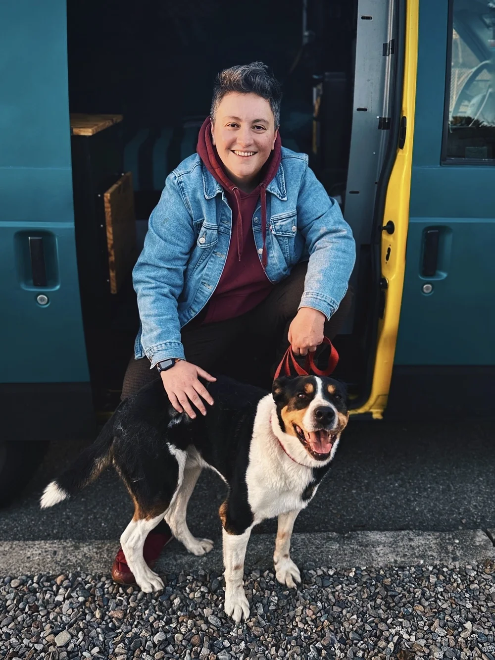 Trish In A Van: Mobile Petsitting