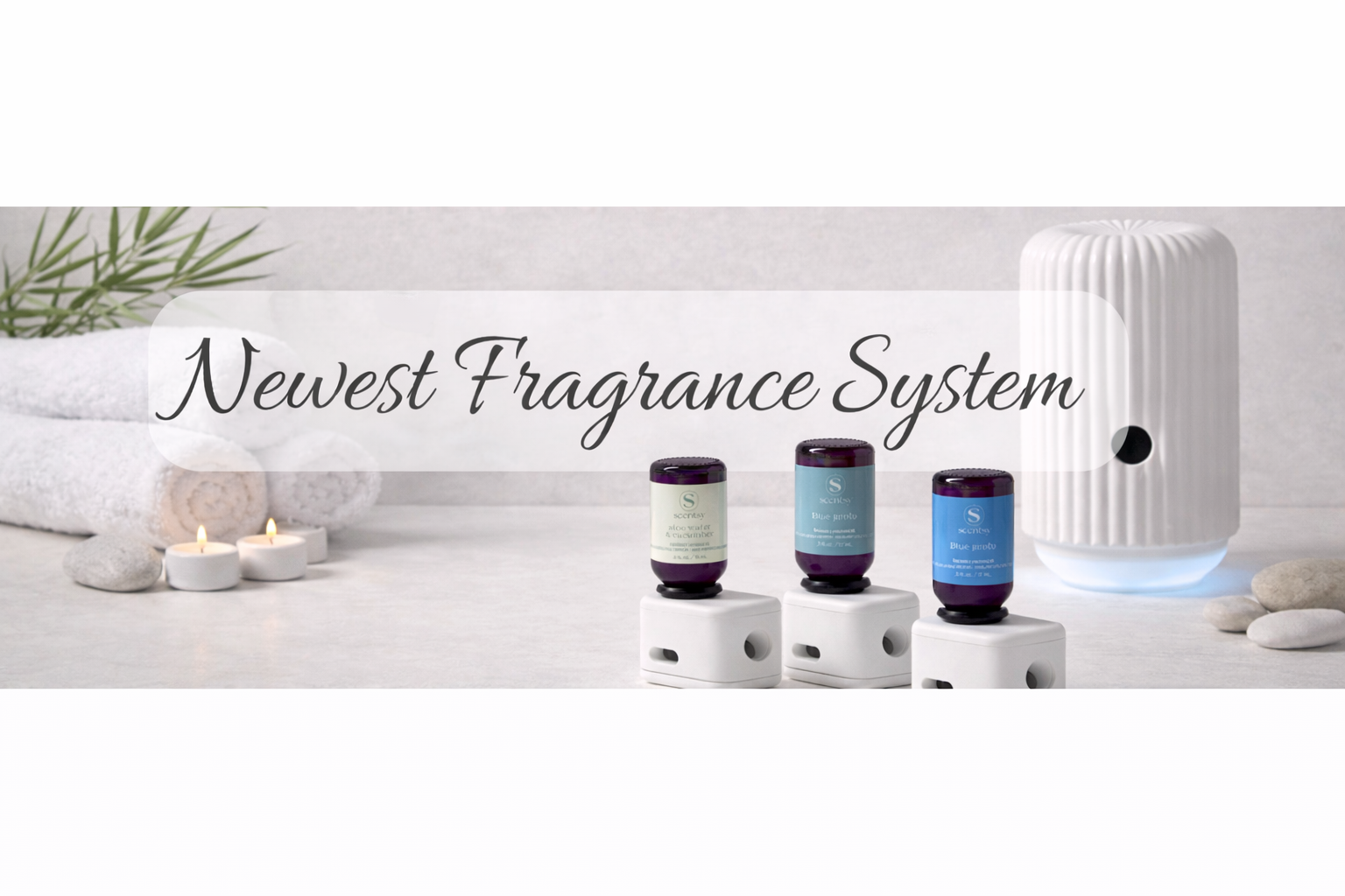 Scentsy Whiff Box January 2026 | Scentsy Canada | Exclusive | Perfect ...