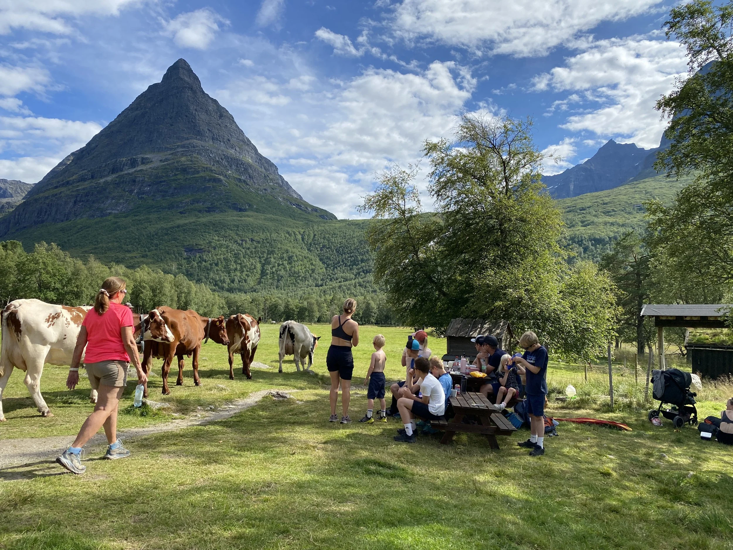Renndølsetra in Innerdalen