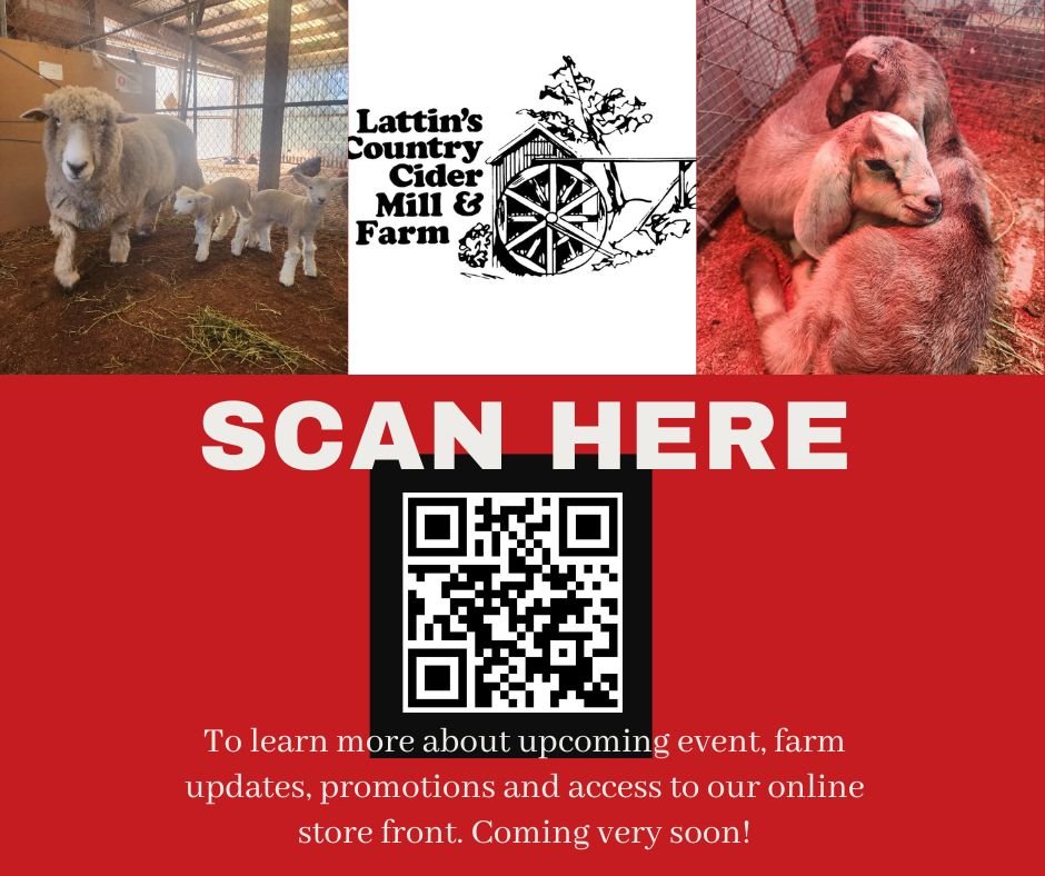 Lattin's Country Cider Mill & Farm | Fruits & Veggies | Apple Cider ...