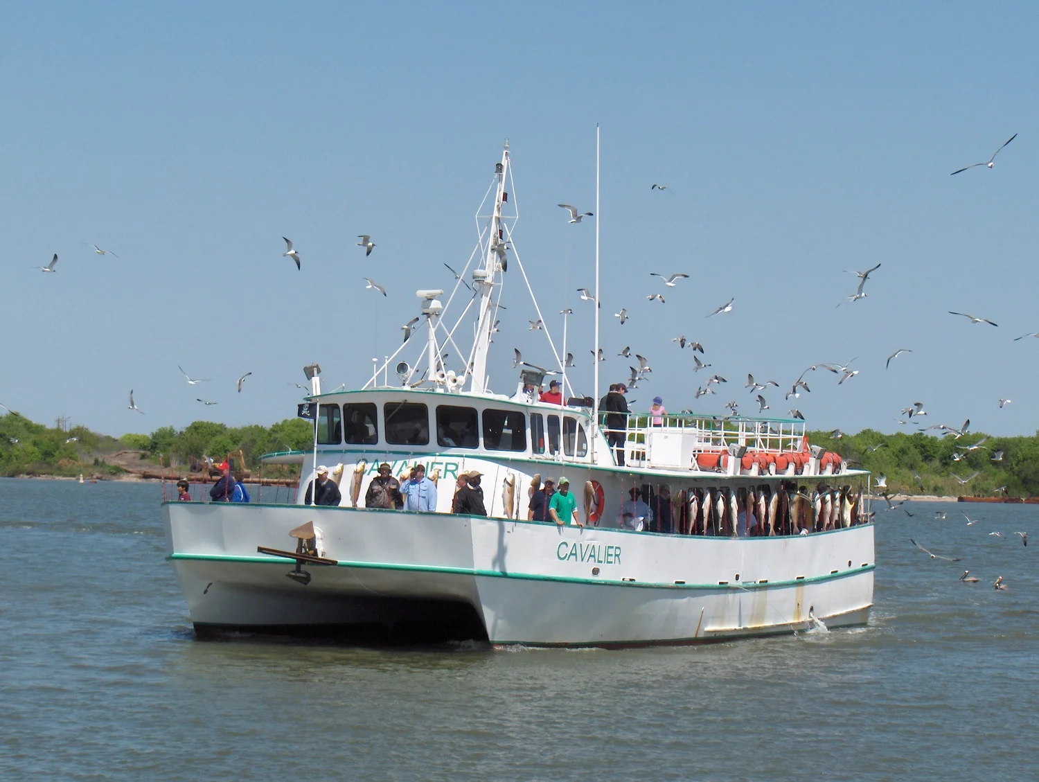 Galveston Party Boats - About
