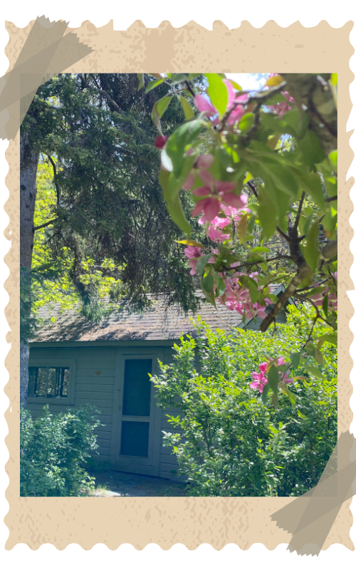 Listening Point Foundation | Home of Sigurd F. Olson