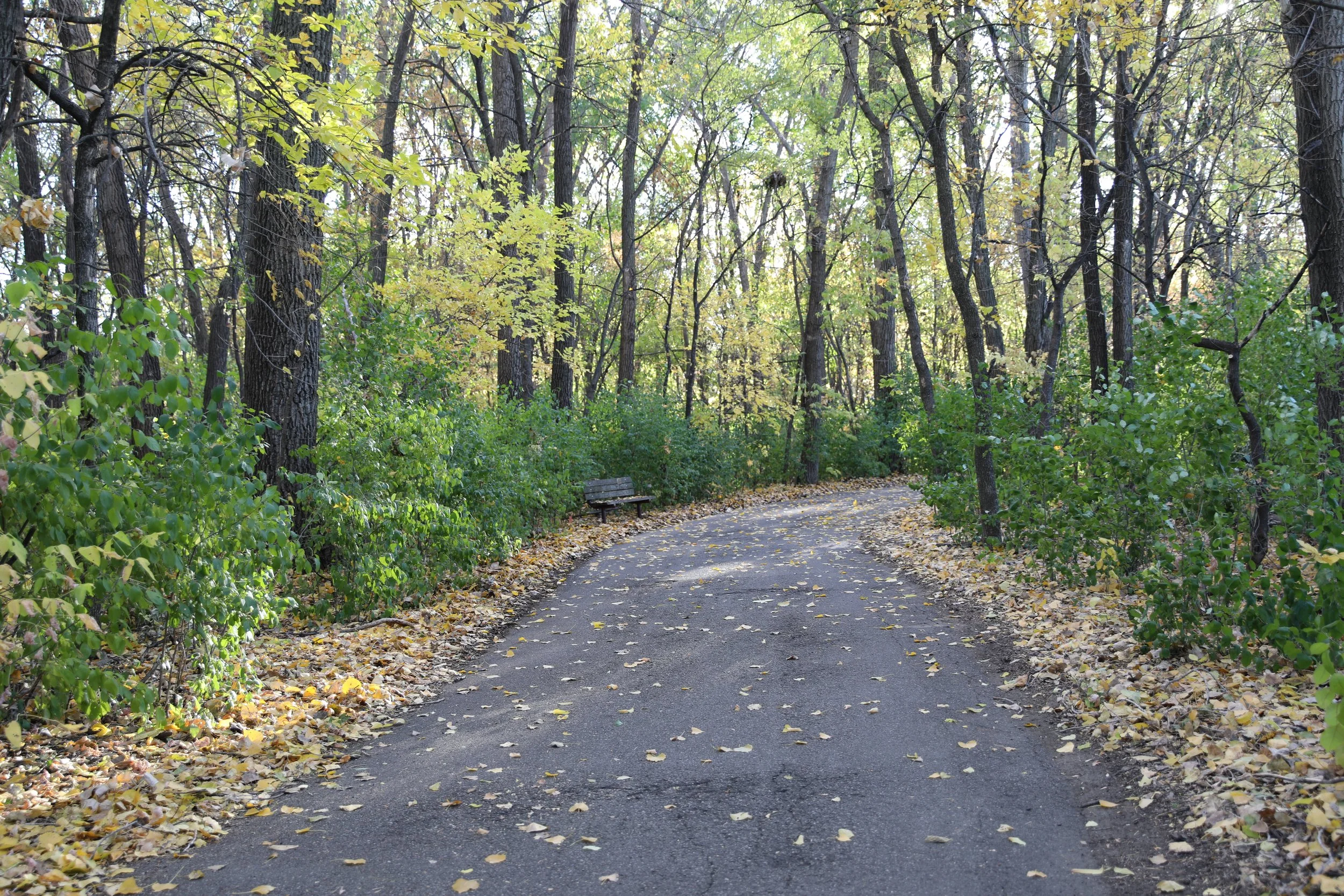 Veterans Park — Our Legacy, Our future