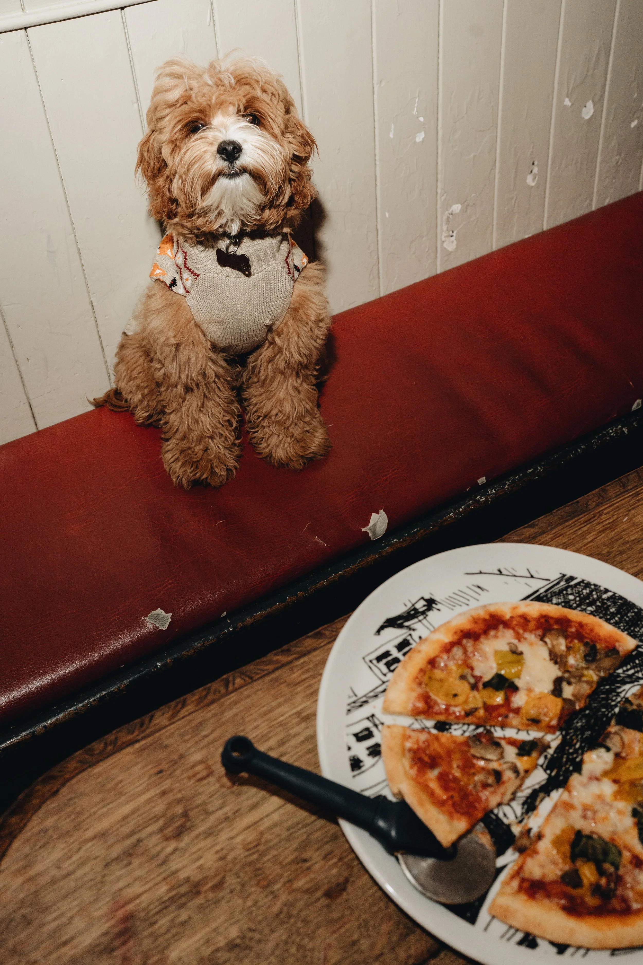 Contact — White Rabbit