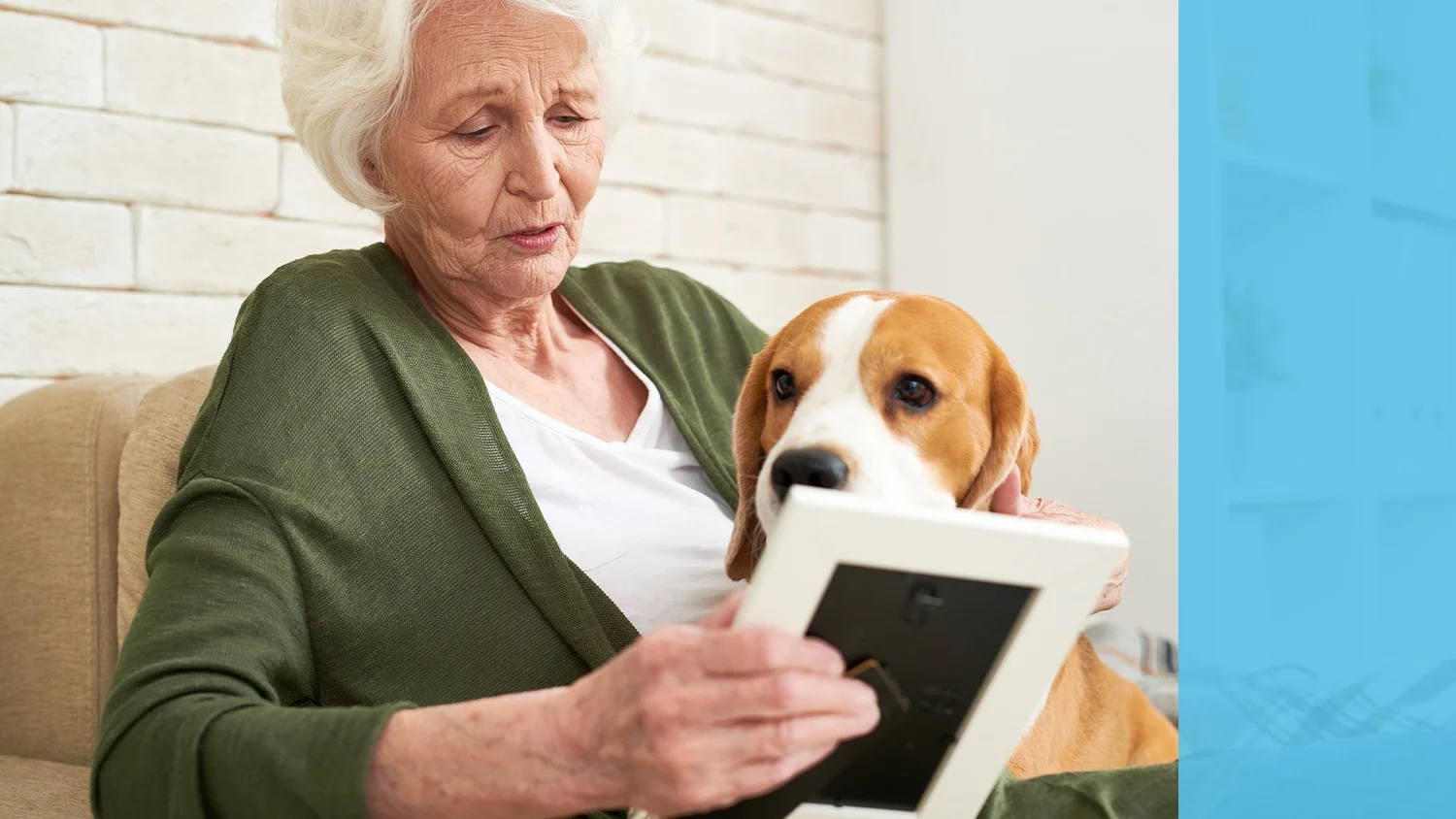 Pet Parent Grief Support Resources