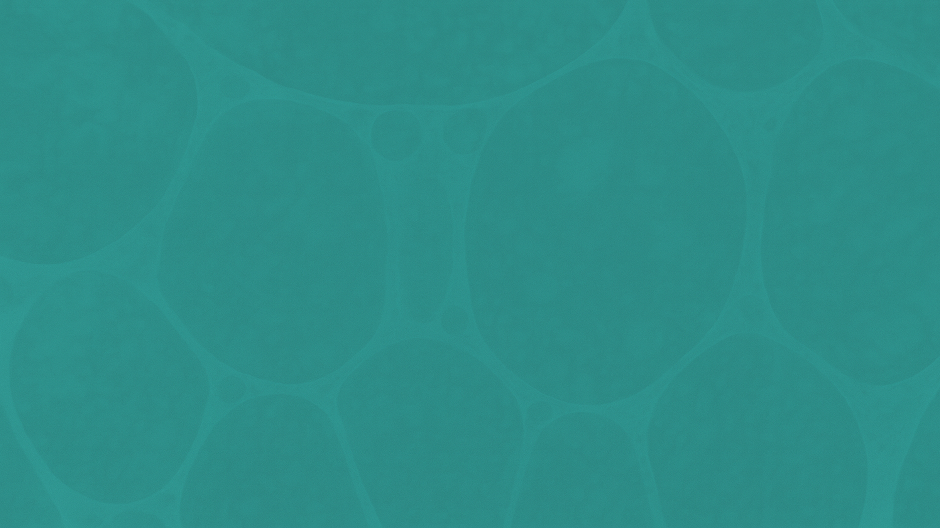 General 4 — Yaso Therapeutics