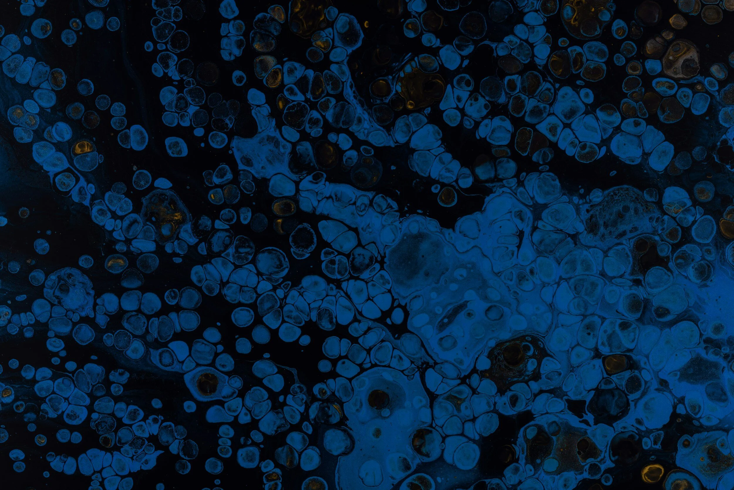 Meth Residue Test Kits Overview — MLCC