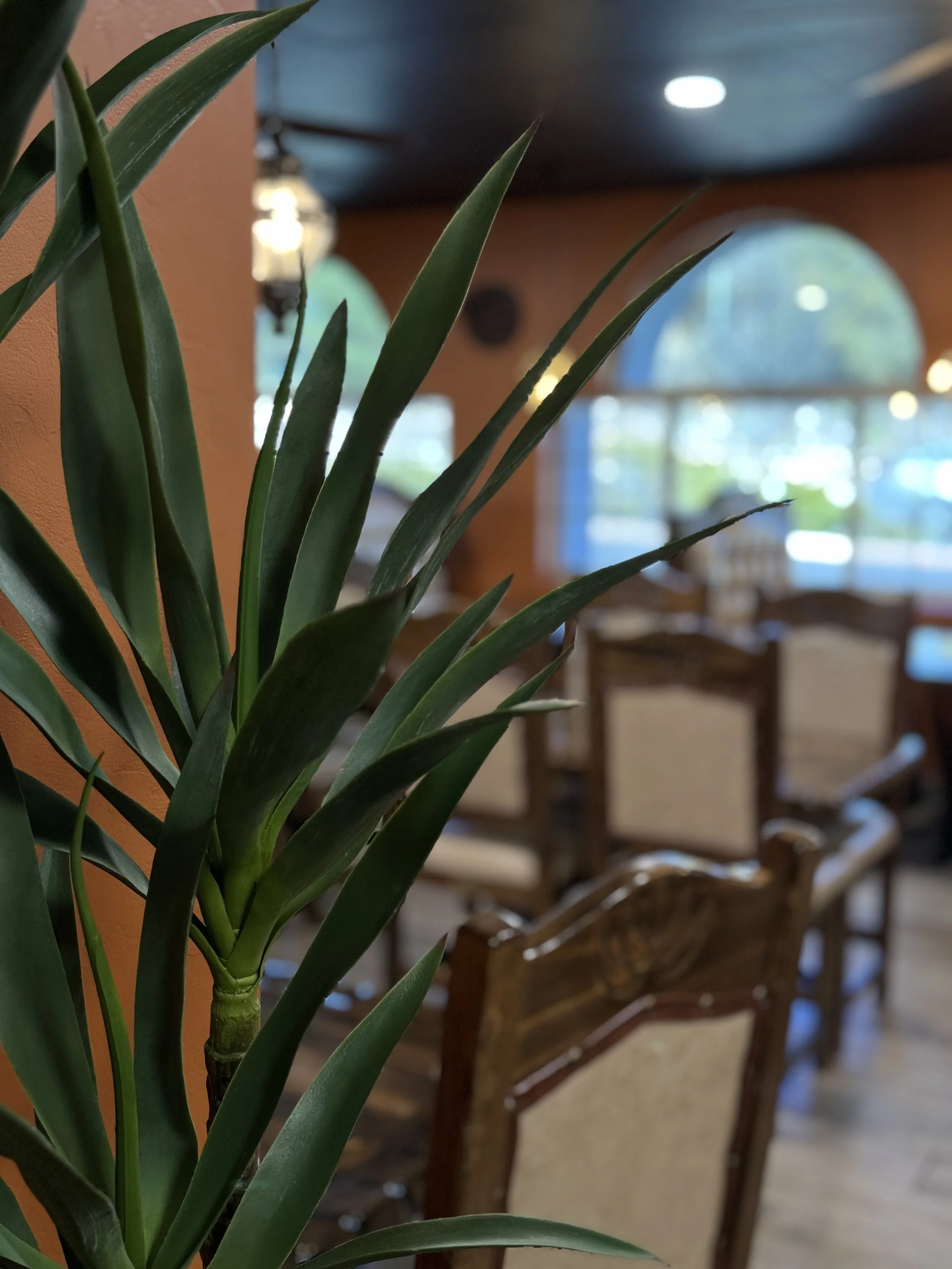 Casa Sanchez Restaurant